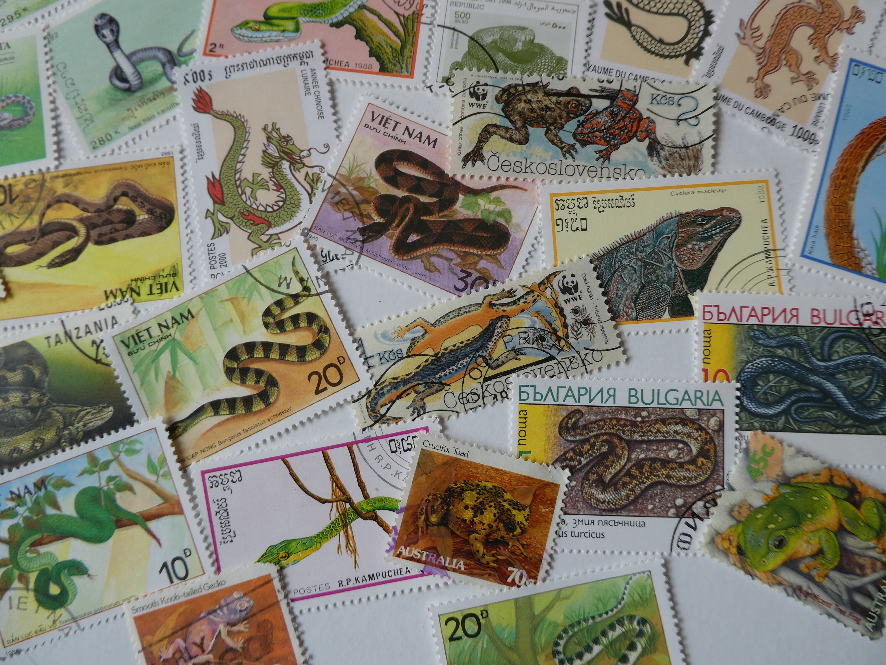 50 Reptiles and Amphibians Postage Stamps - Etsy Australia