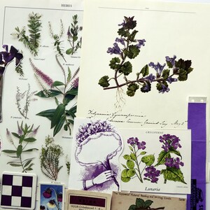 Purple Ephemera Pack 30 Pieces - Etsy Australia