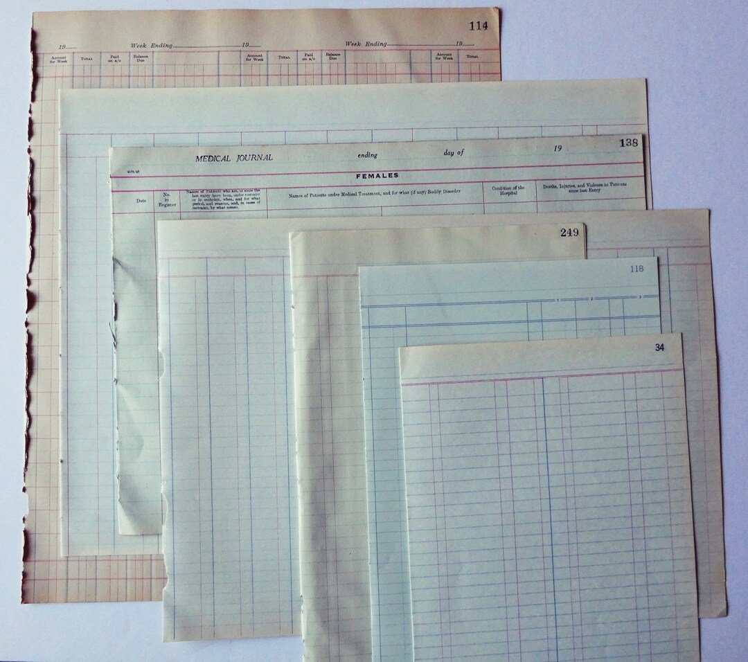 Vintage Ledger Paper Pack 14 Pages, Double Ledger Pages - Etsy