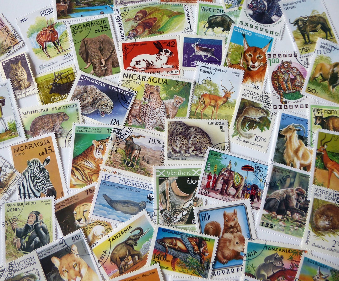 50 Wild Animals Postage Stamps Mixed Lot - Etsy