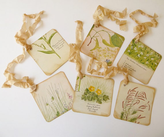 Botanical Gift Tags Set of 6 Gift Tags With Ribbon - Etsy