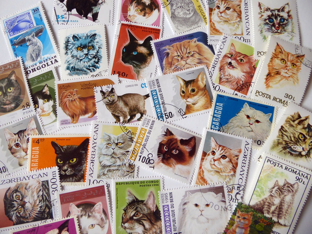 30 Cats Postage Stamps Mixed Lot - Etsy
