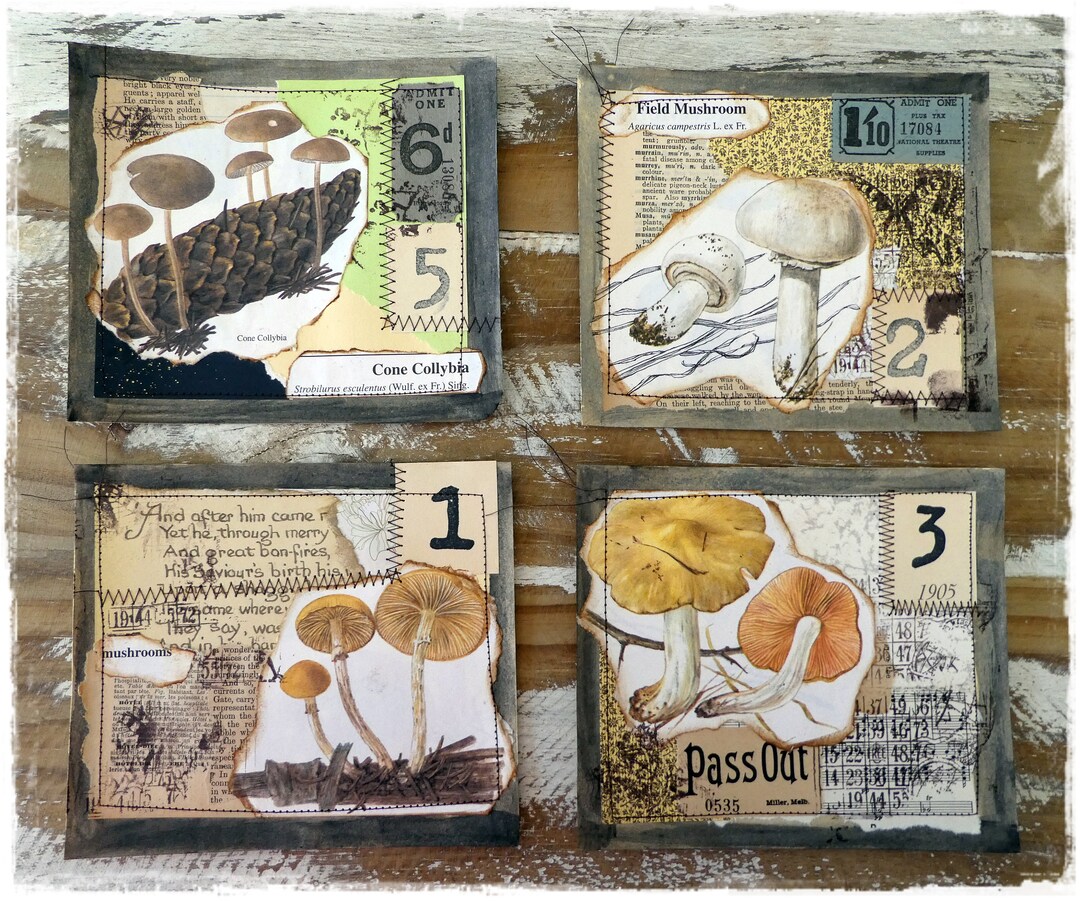 4 Handmade Mushroom Collage Journal Cards - Etsy