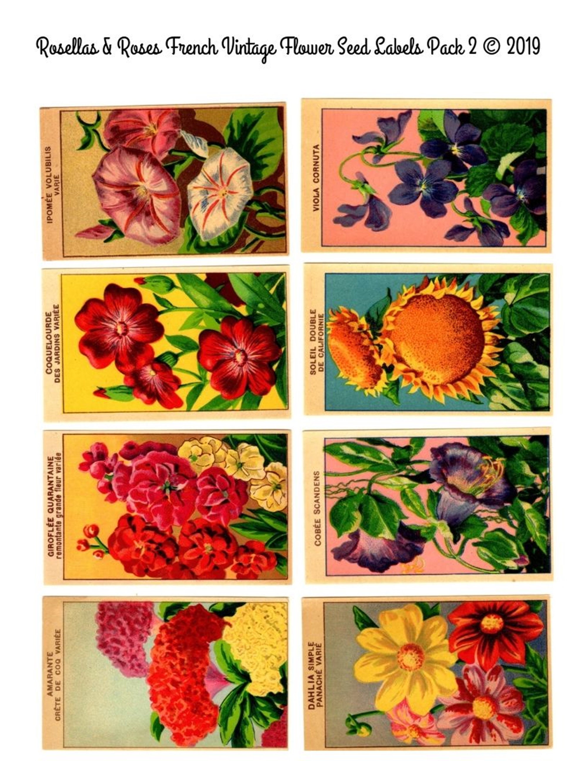 32 French Vintage Flower Seed Labels Pack 2, Instant Download ...