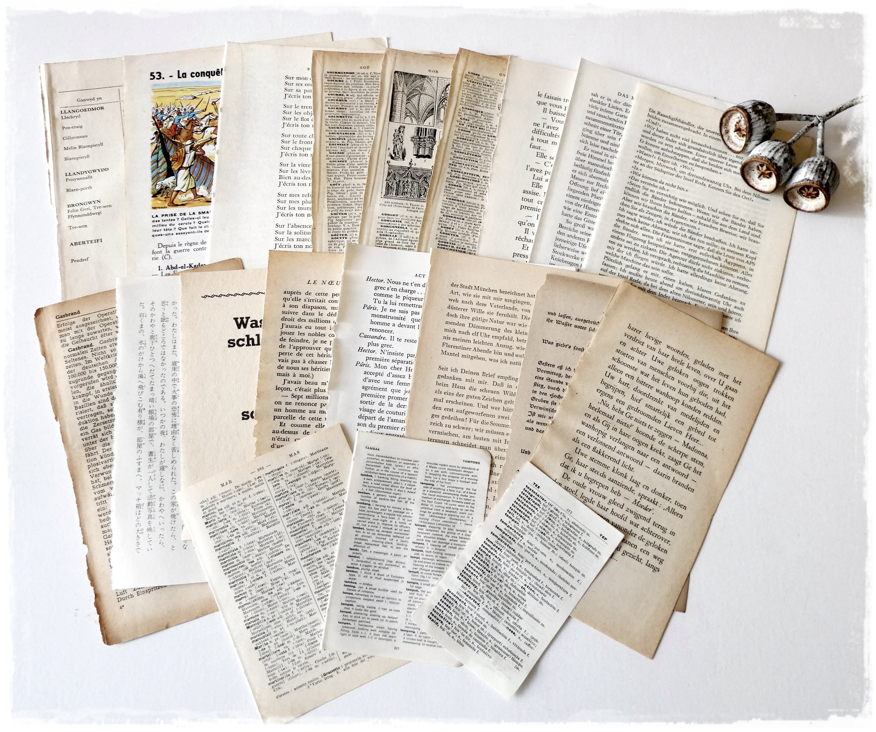 Foreign Language Paper Pack 20 Book Pages - Etsy Australia