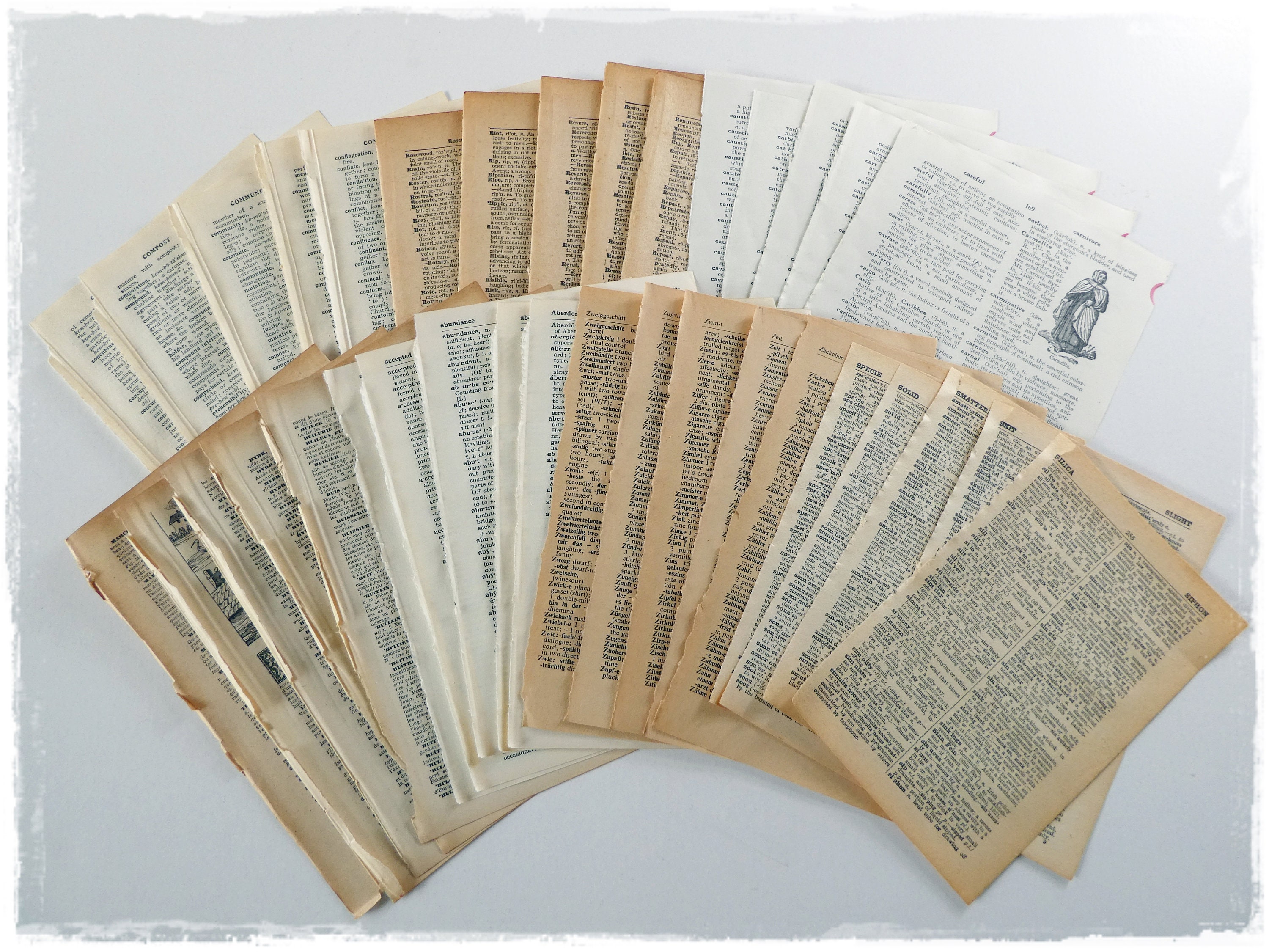 35 Pages Vintage Dictionary Pages Paper Pack English French | Etsy ...