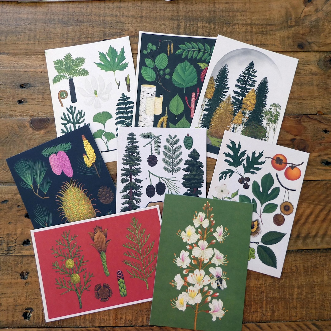 Arboretum Postcards, Set of 10, Royal Botanic Gardens Kew, Welcome to ...