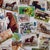 50 Reptiles and Amphibians Postage Stamps - Etsy
