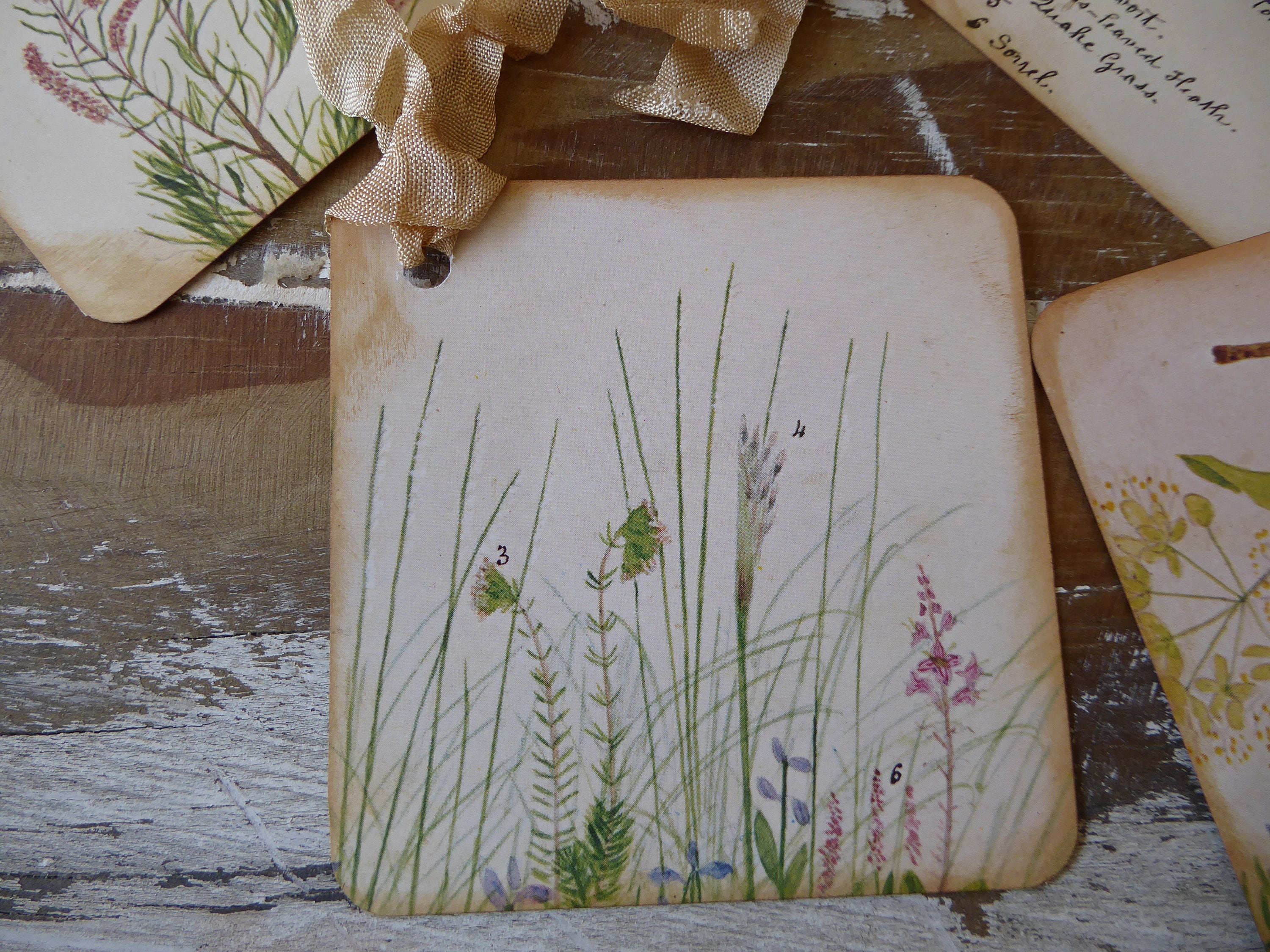 Botanical gift tags set of 6 gift tags with ribbon | Etsy