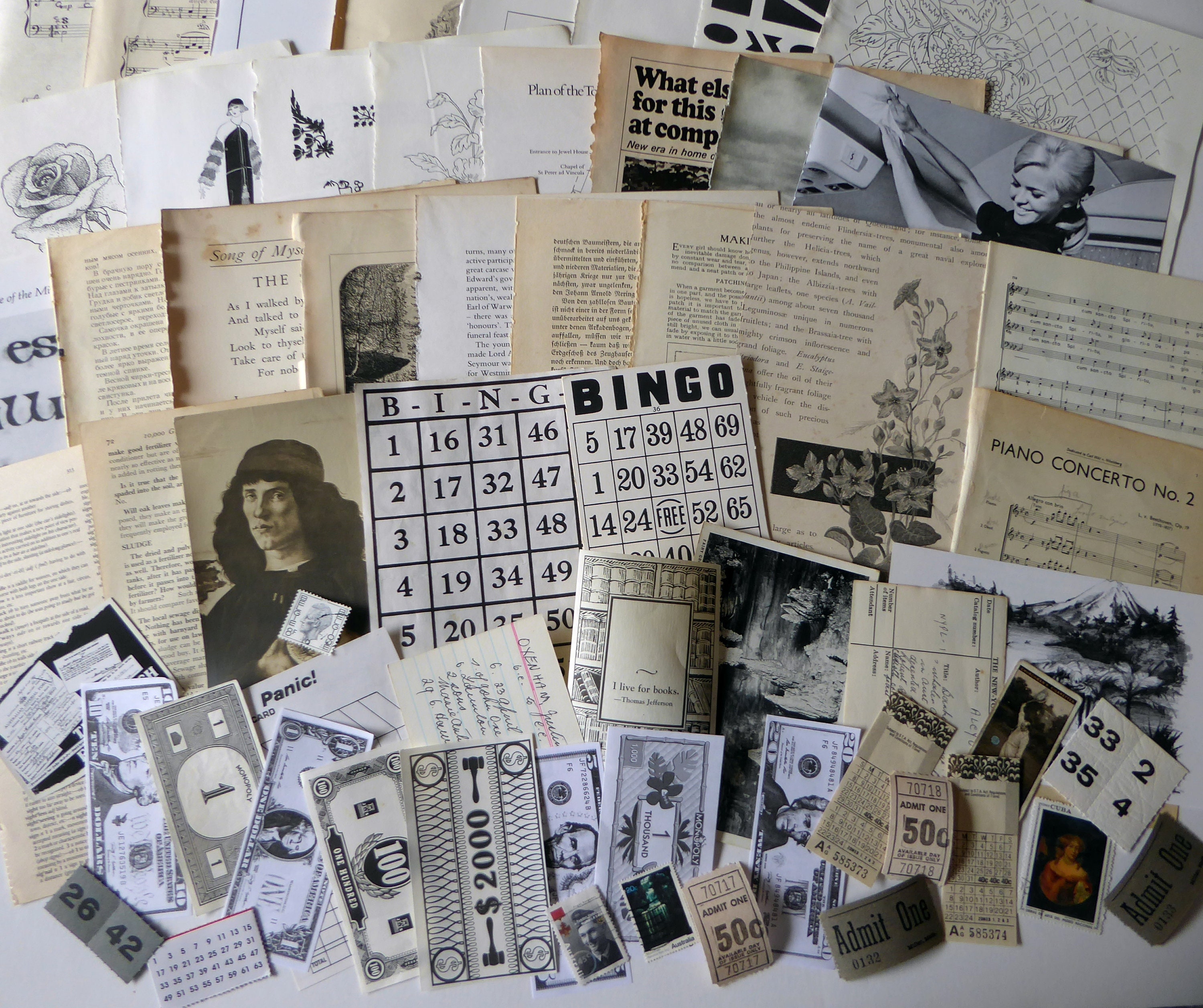 Insects Amphibians 50 Sheets of Vintage Pages With Snakes Scary ...