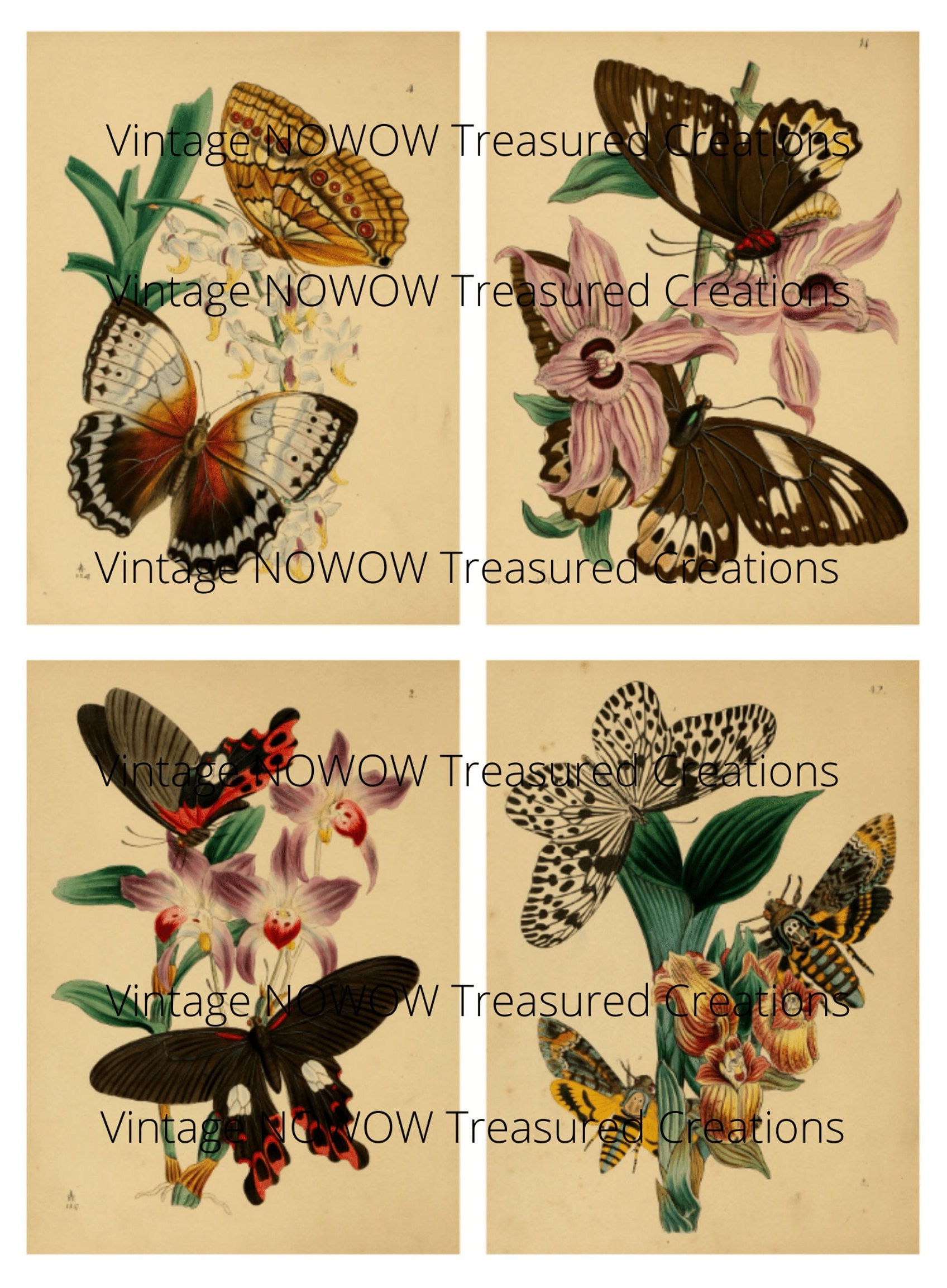 Beautiful Vintage Butterflies Digi Kit Digital Download - Etsy
