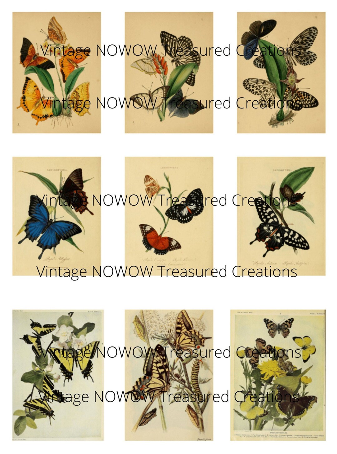 Beautiful Vintage Butterflies Digi Kit Digital Download - Etsy