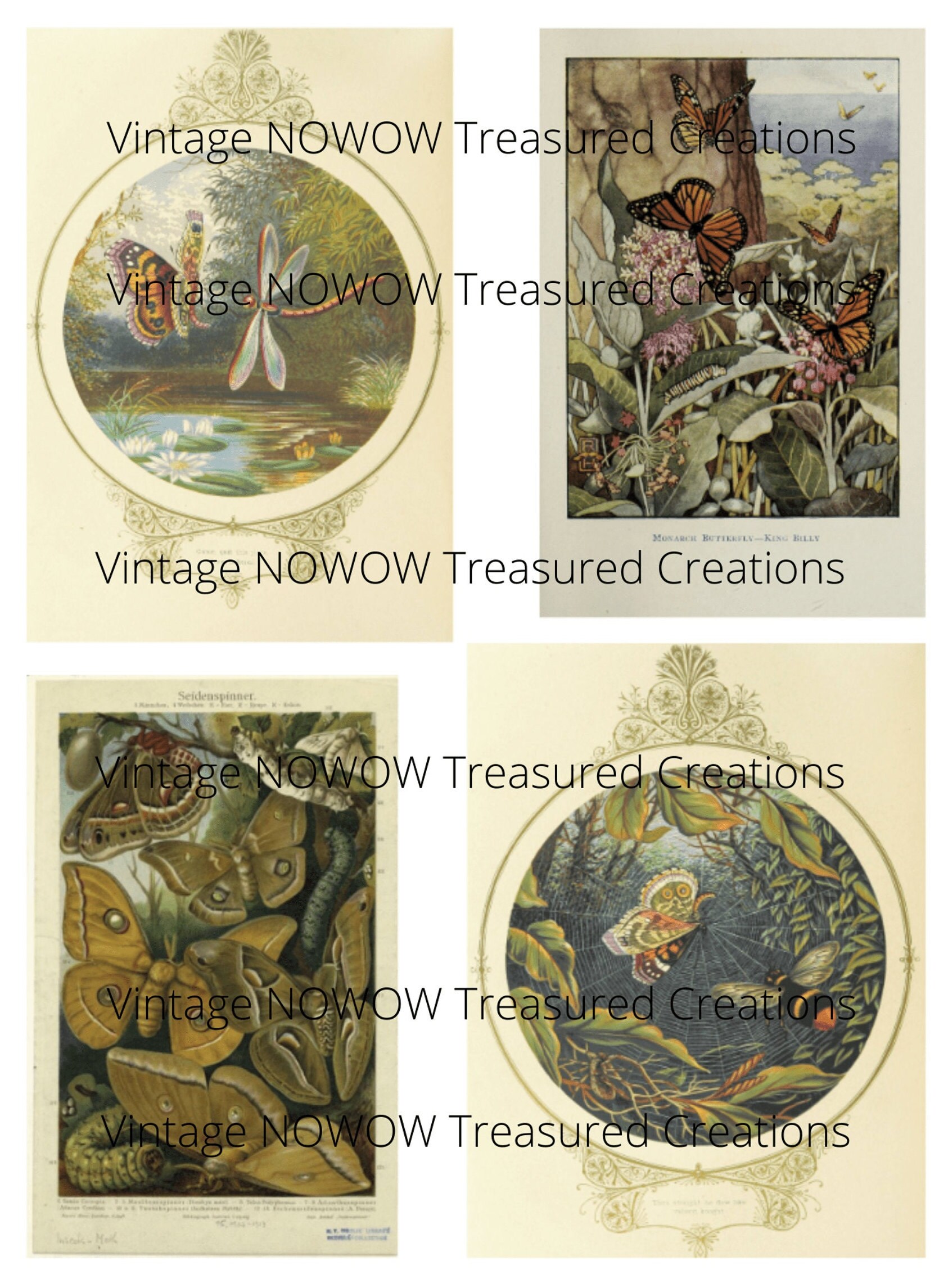 Beautiful Vintage Butterflies Digi Kit Digital Download - Etsy