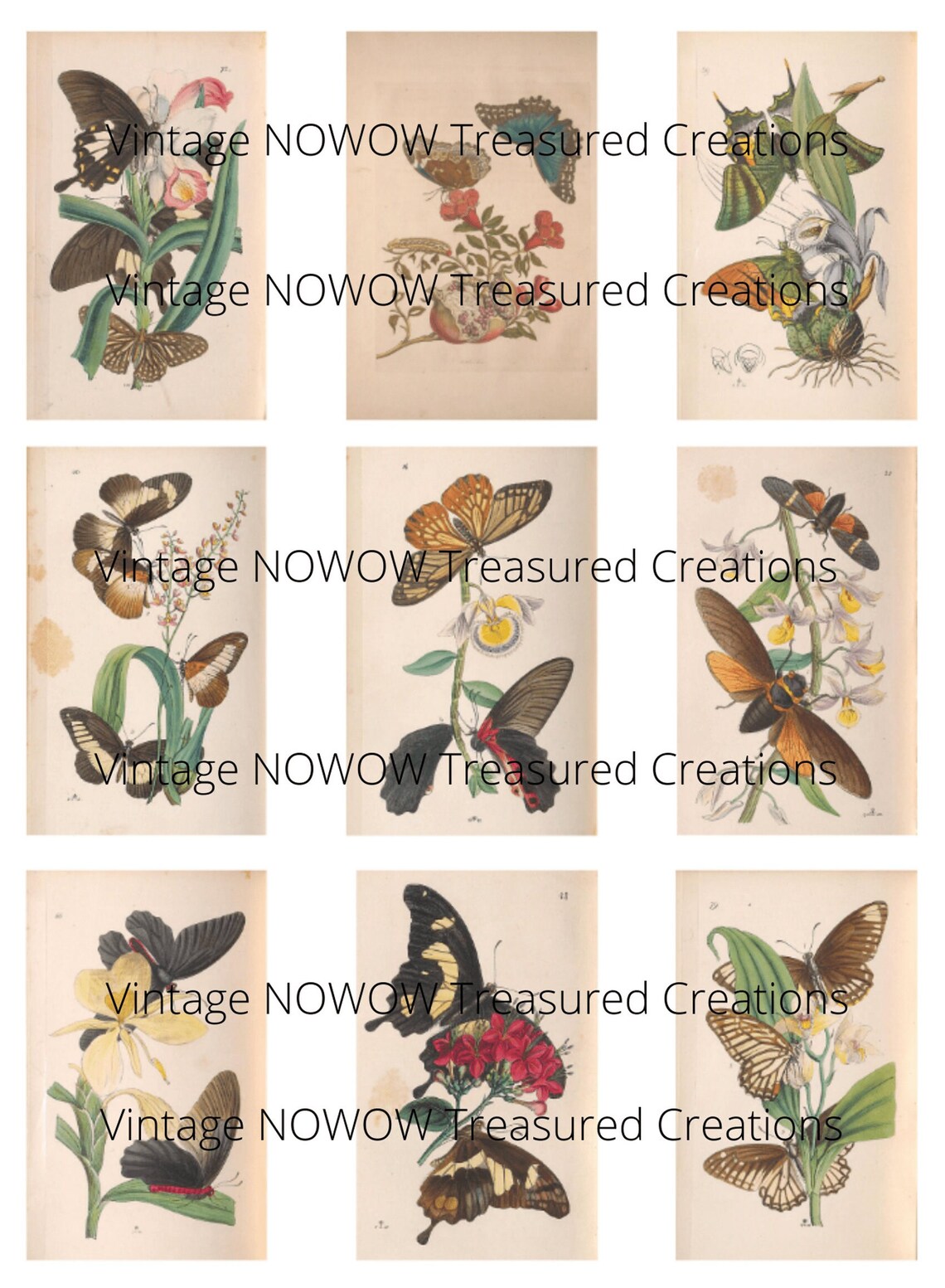 Beautiful Vintage Butterflies Digi Kit Digital Download - Etsy