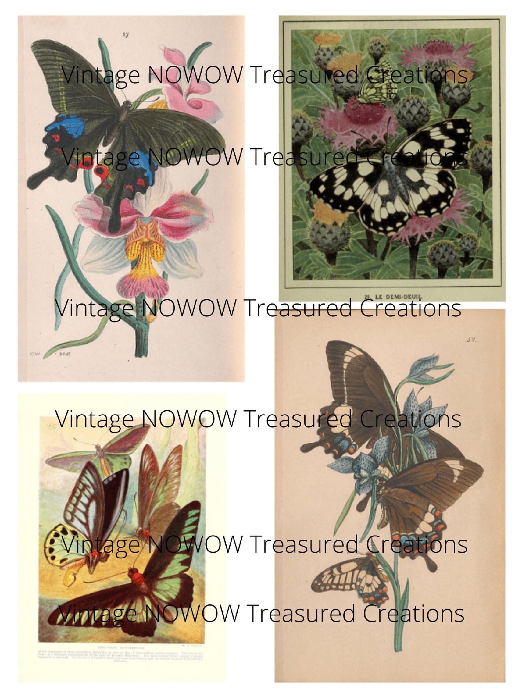 Beautiful Vintage Butterflies Digi Kit Digital Download - Etsy
