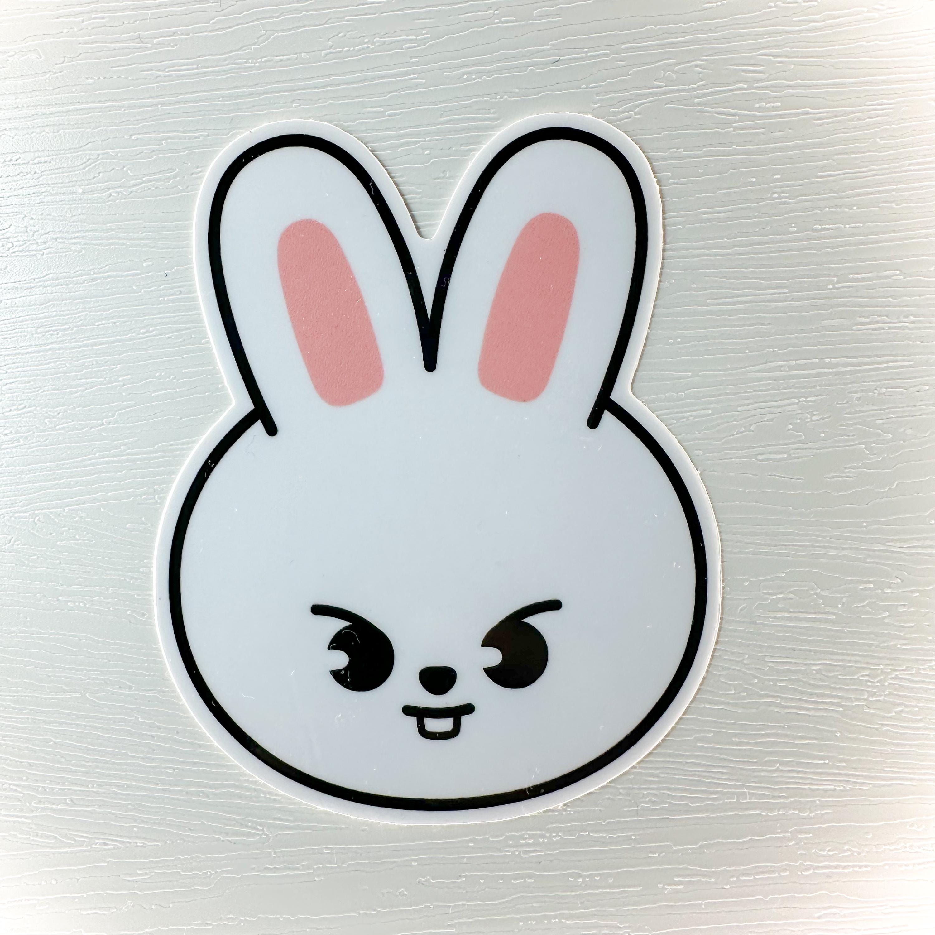 Stray Kids Skzoo Glossy Vinyl Stickers. SKZ Kpop - Etsy