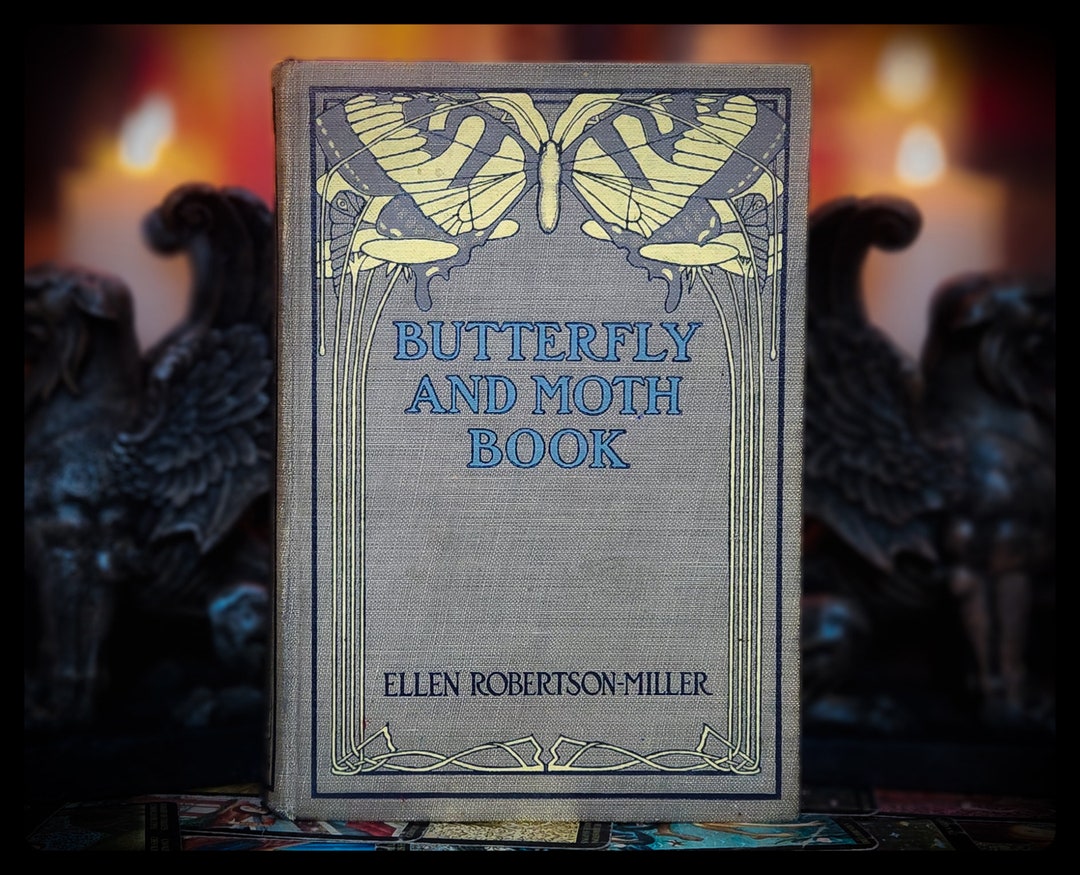 1920 THE BUTTERFLY BOOK the Natural World Apothecary Book rare Antique ...