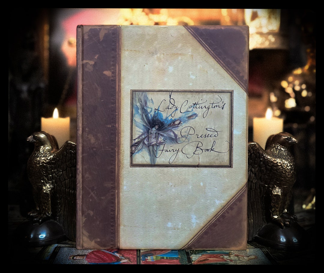 FAIRY BOOK Fairies Goblins Magic Fairy Occult Goblins Vintage Book ...