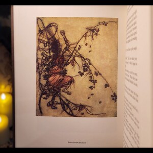 GRIMMS FAIRY TALES Stunning Condition Magic Fairies Arthur Rackham ...