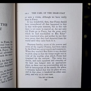 1923 Irish Fairy Tale Book Occult Celtic Mythology Druids Occult Pagan ...