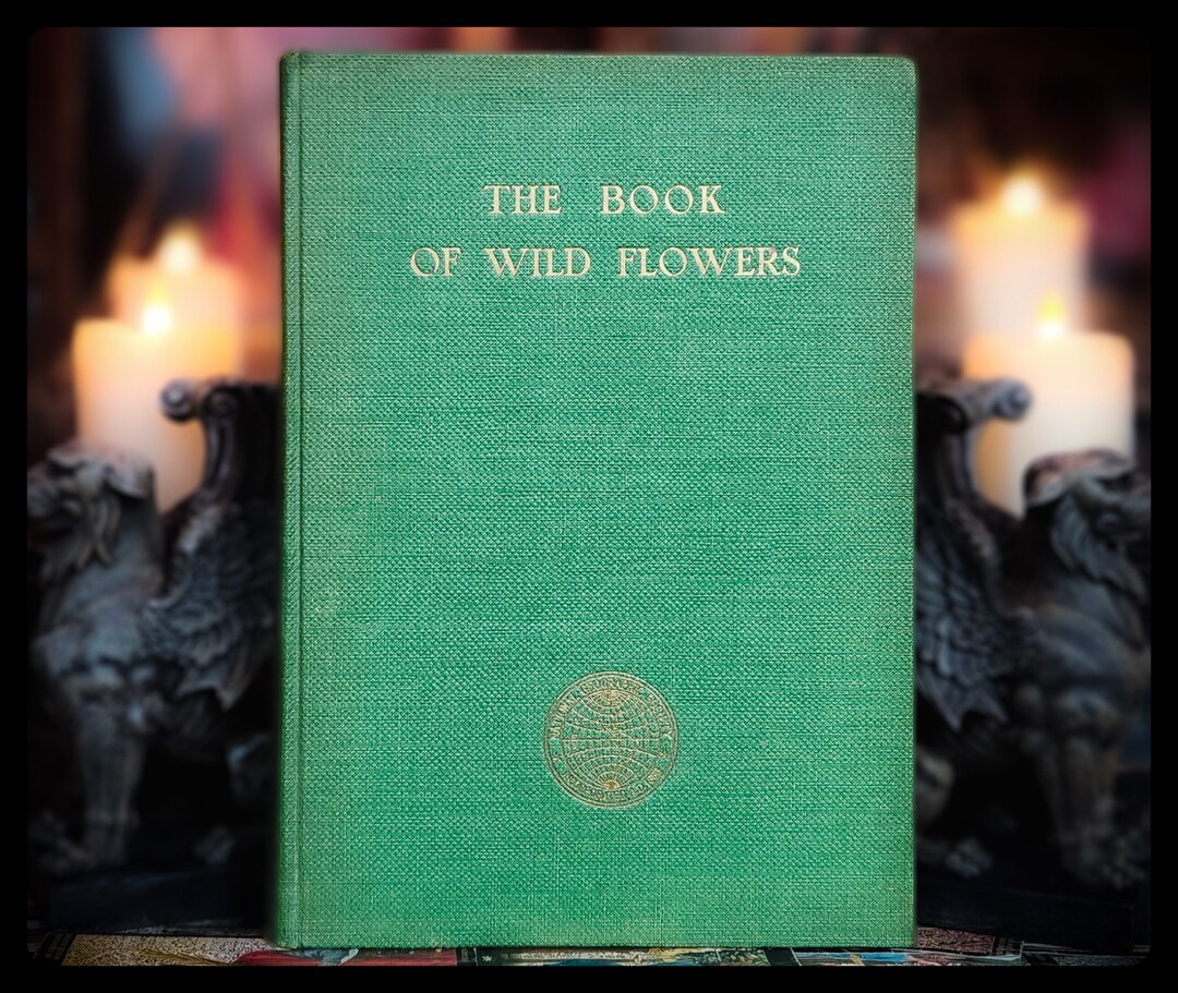 1933 Book of Wildflowers Botany Book Apothecary Flower National ...