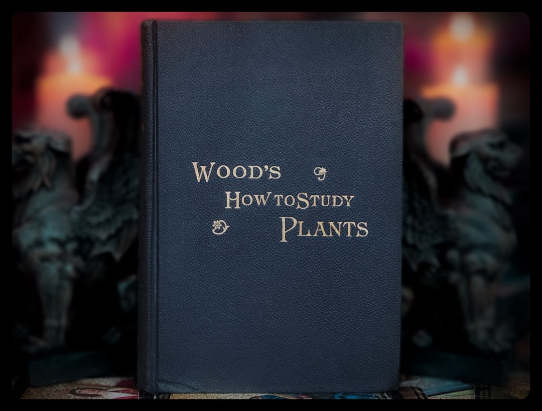 1882 BOTANY How to Study Plants "very Rare" Antique Vintage Botanical ...