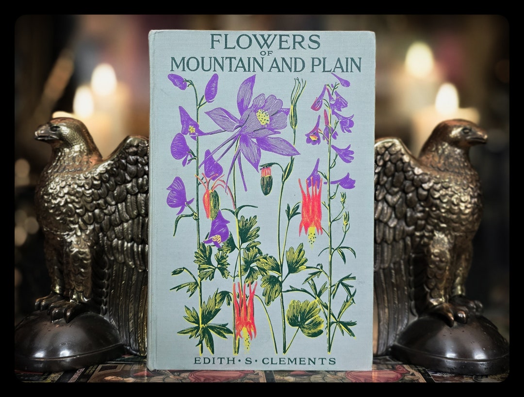 1949 BOOK OF FLOWERS Botany Apothecary Book Botanical Art Antique Plant ...