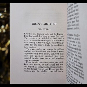 1923 Irish Fairy Tale Book Occult Celtic Mythology Druids Occult Pagan ...