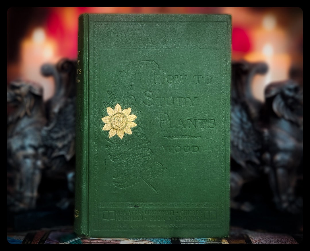 1895 BOTANY Book How to Study Plants very Rare Antique Vintage ...