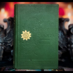 1895 BOTANY Book How to Study Plants very Rare Antique Vintage ...