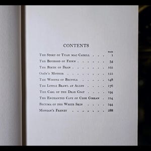 1923 Irish Fairy Tale Book Occult Celtic Mythology Druids Occult Pagan ...