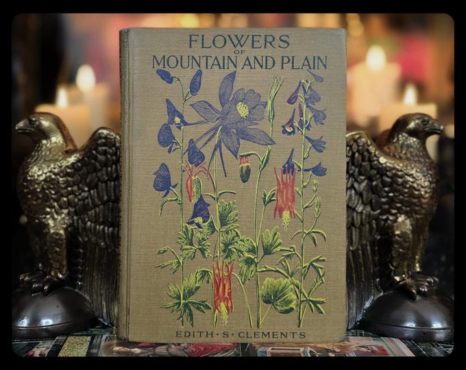 1919 BOOK OF FLOWERS Botany Apothecary Book Botanical Art Antique Plant ...