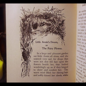 1898 FLOWER FABLES Fairy Book Elves Magic Earth Spirits rare Antique ...