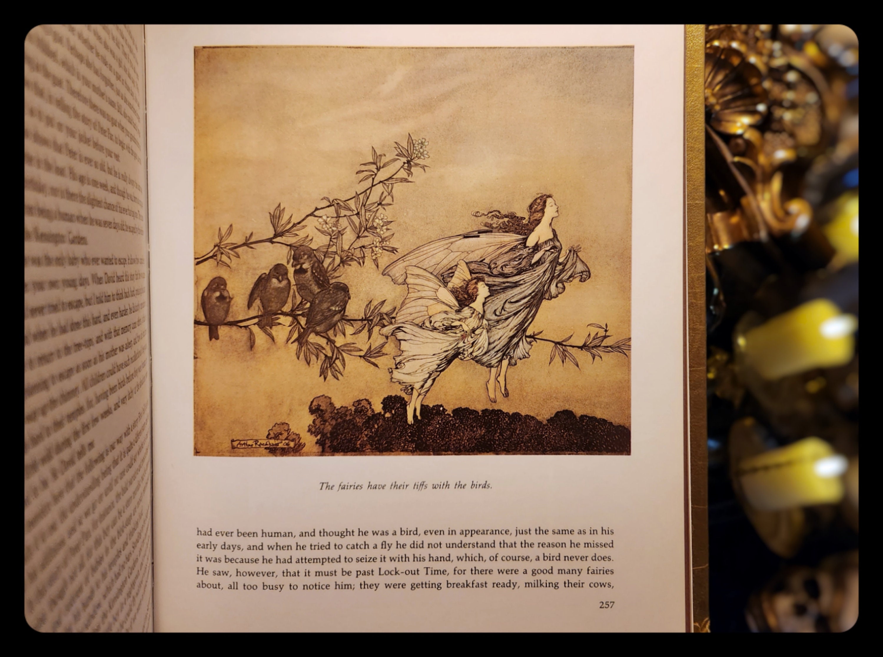 FAIRY BOOK Alice in Wonderland Grimm's Romeo & Juliet Once Upon a Time ...