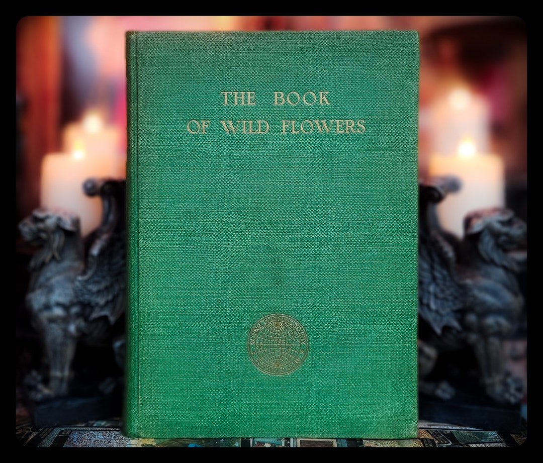 1933 BOOK OF WILDFLOWERS Botany Book Apothecary 250 Illustrations Plant ...