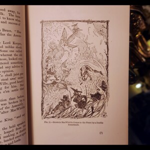 1895 FARM FAIRIES Fairy Lore the Plant World Pixies Goblins - Etsy