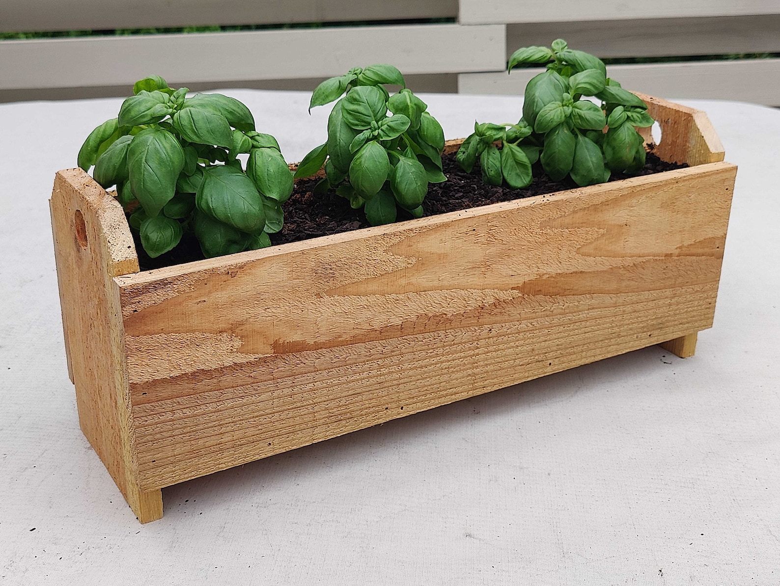 Indoor/outdoor Natural Cedar Wood Herb/flower Garden Planter Box for ...