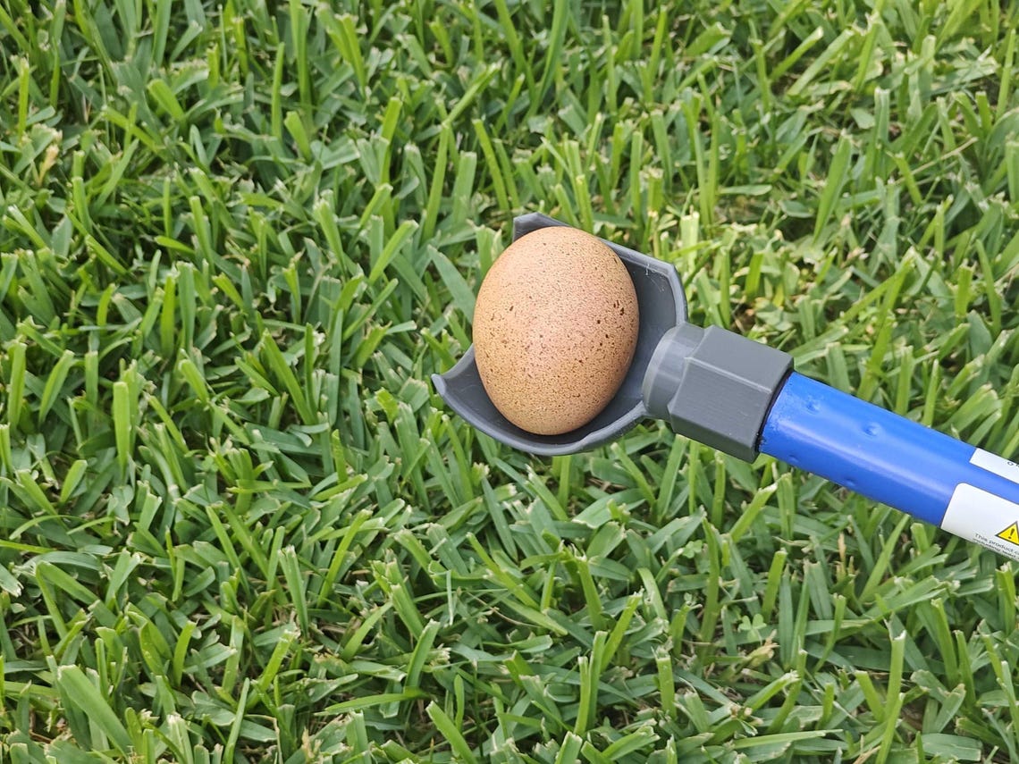 Eggstraordinary Chicken Egg Coop Scooper - Make Collecting Easier! - Etsy