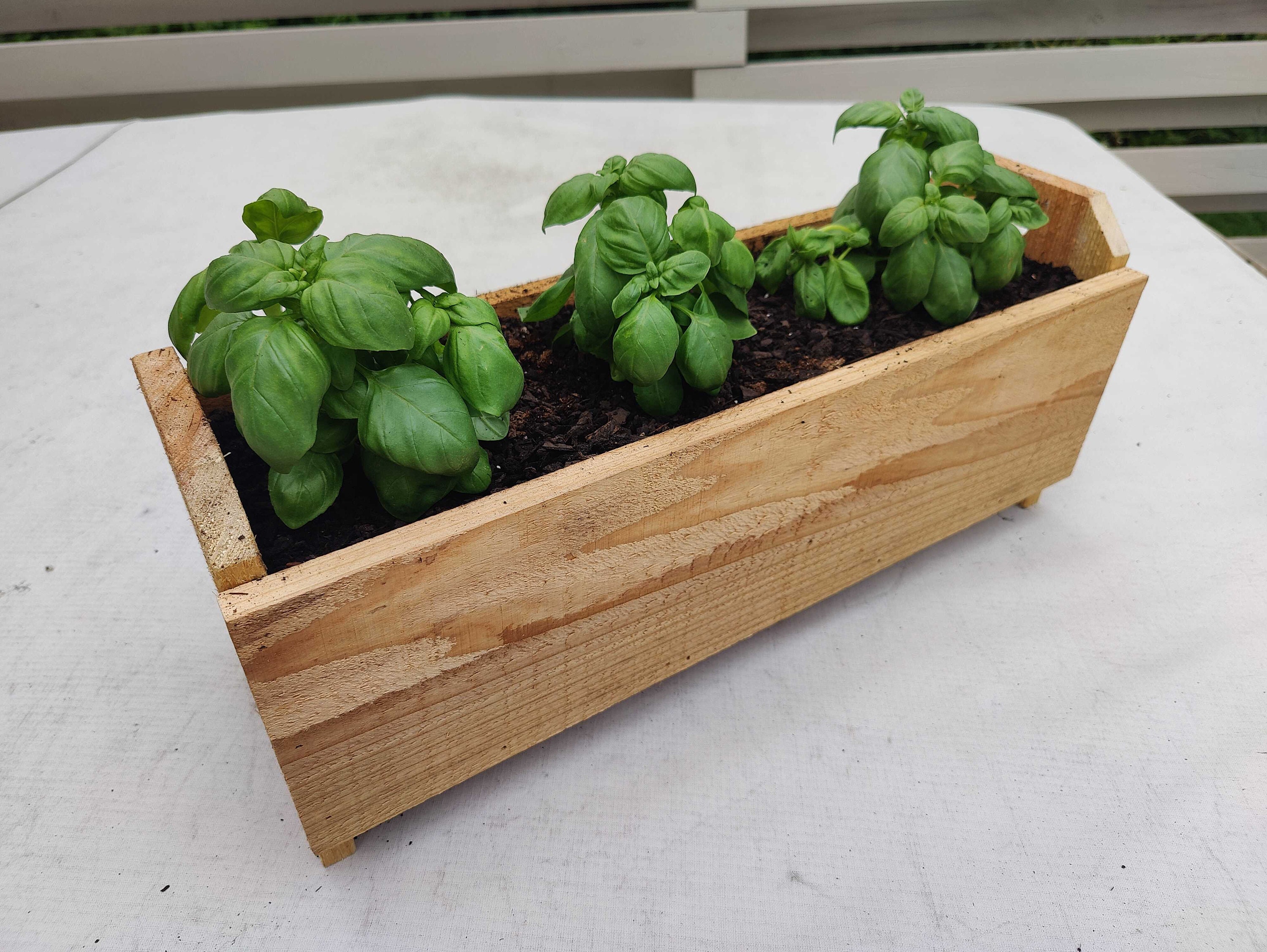 Indoor/outdoor Natural Cedar Wood Herb/flower Garden Planter Box for ...