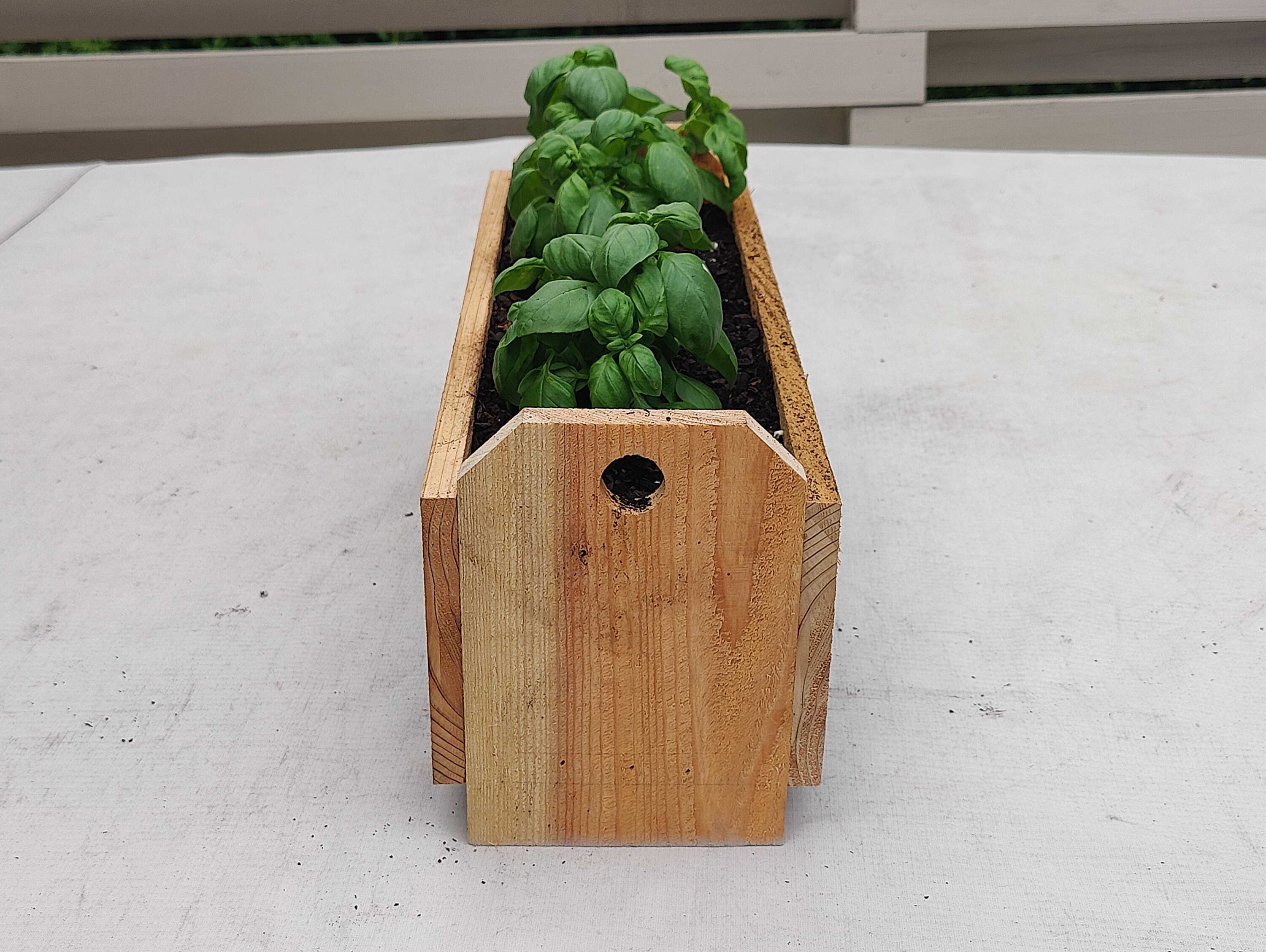 Indoor/outdoor Natural Cedar Wood Herb/flower Garden Planter Box for ...