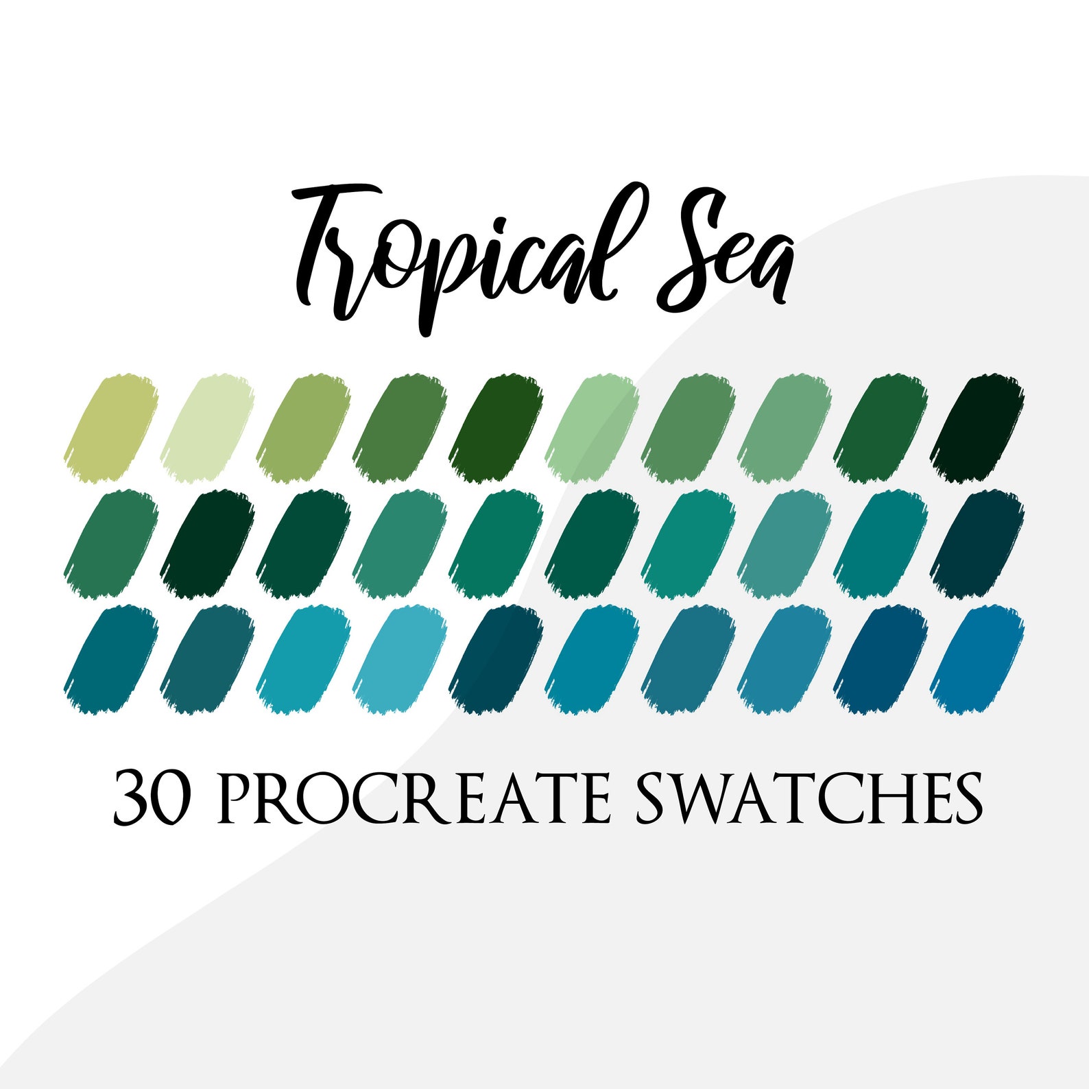 Procreate Palette Swatches Procreate Color Palette Tropical Island