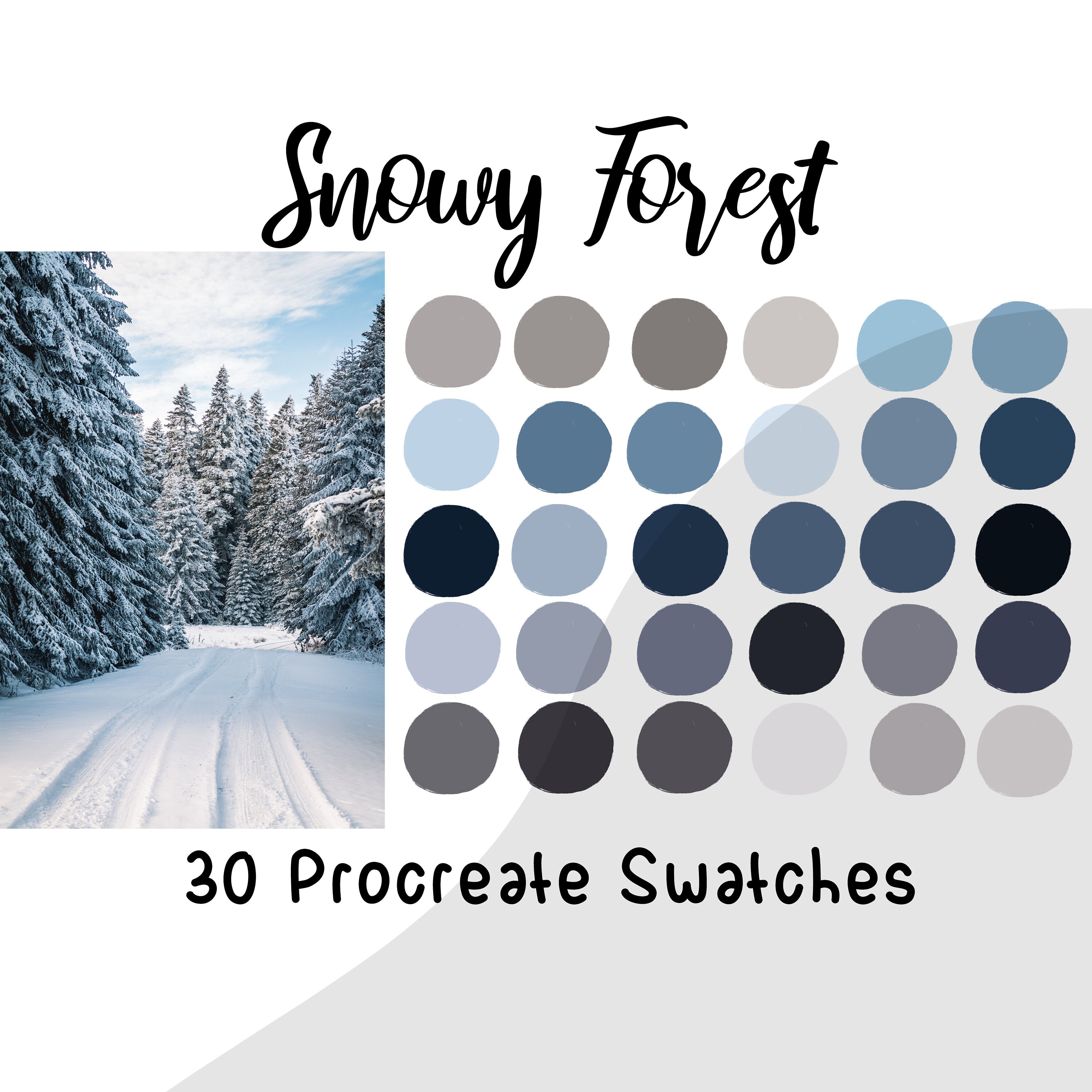 Procreate Palette Swatches, Procreate Color Palette, Winter Landscape ...
