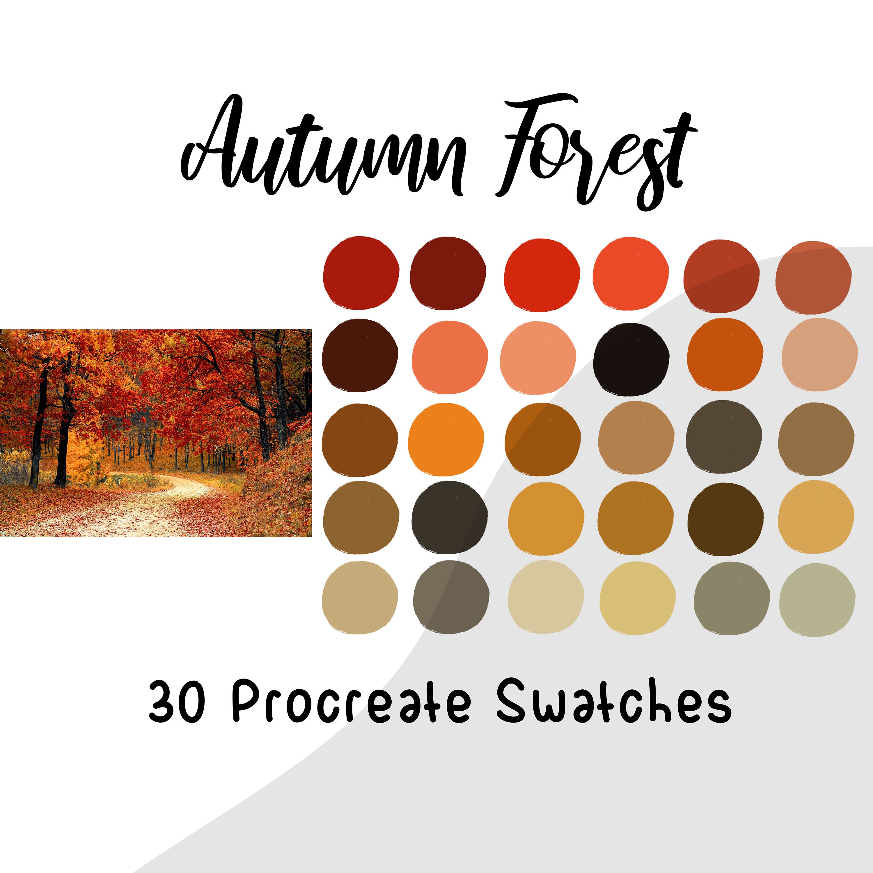 Procreate Palette Swatches, Procreate Color Palette, Cosy Autumn Colour ...