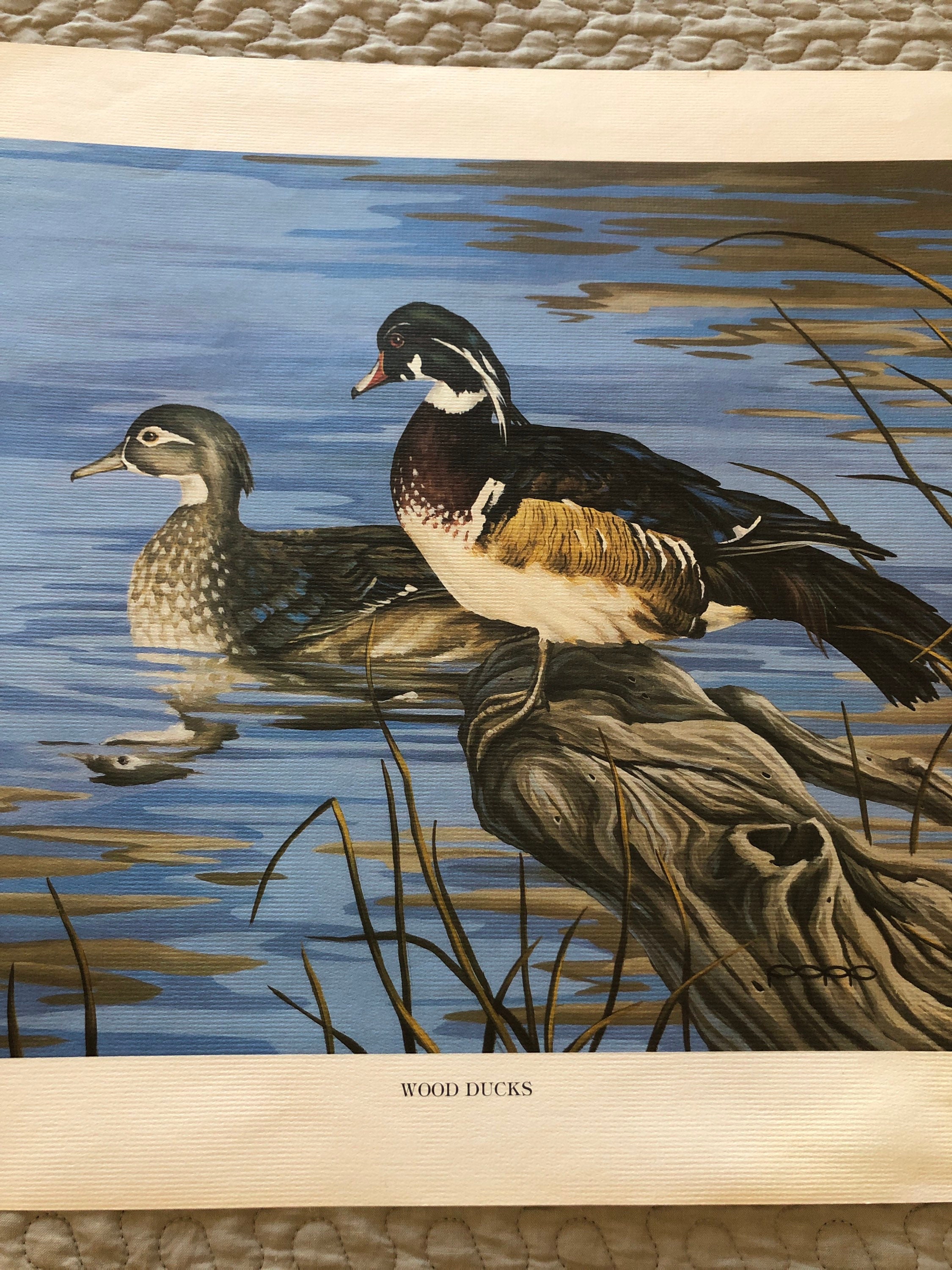 3 HUGE Vintage Prints Art Raymond Popp Geese Ducksvintage - Etsy