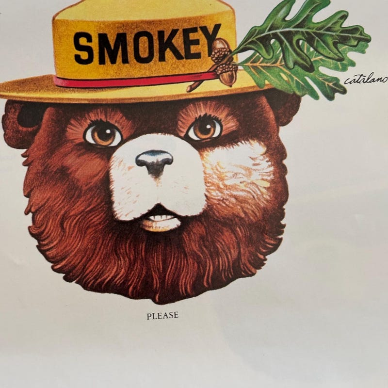 Smokey Bear Poster - Etsy