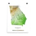 Georgia Elevation Map Poster - Etsy