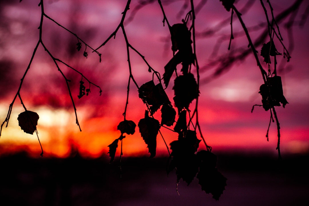 Sunset Colors Digital Download Landscape Pink Orange Sky Silhouette ...