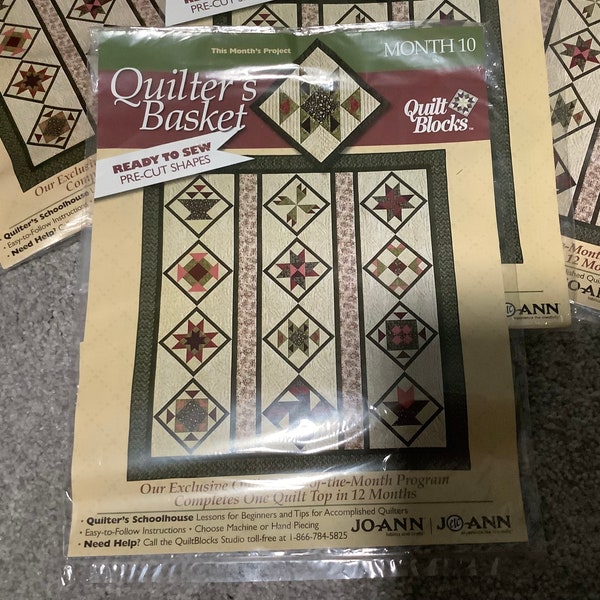 Block of the Month Quilt - Etsy