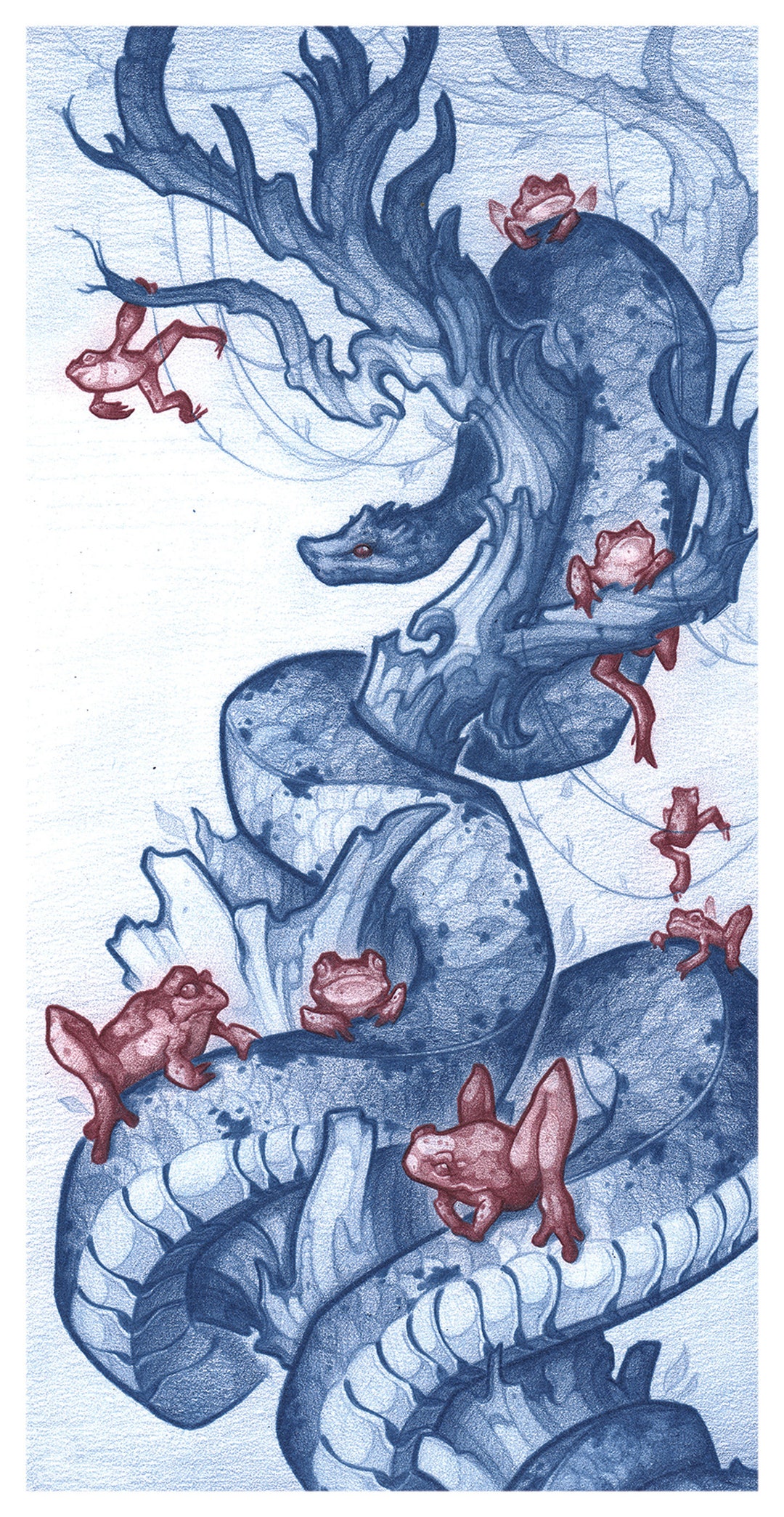 Snake and Frogs 13x19 Print - Etsy