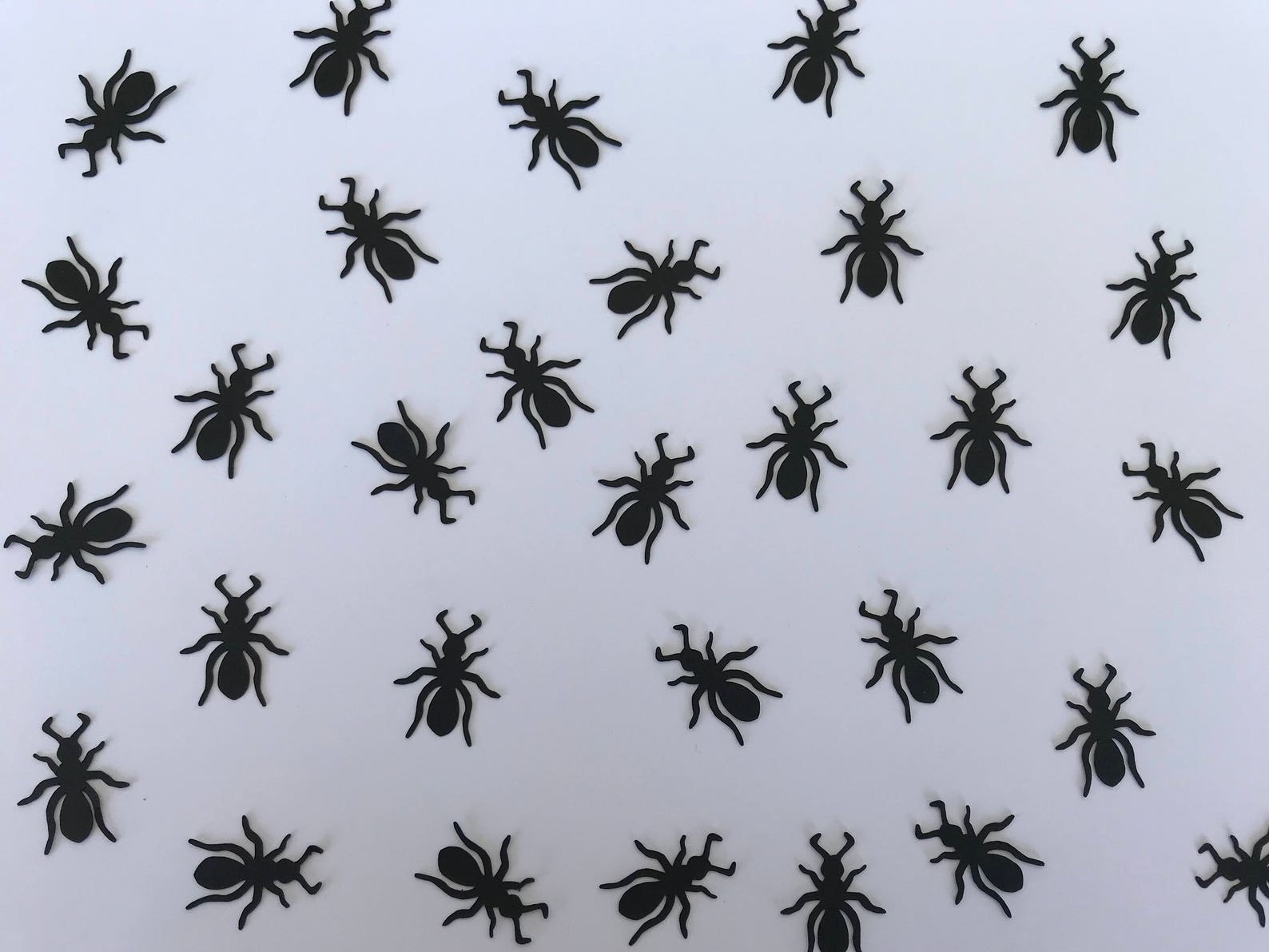 Ant Confetti Insect Confetti Bug Party Decor Insect - Etsy